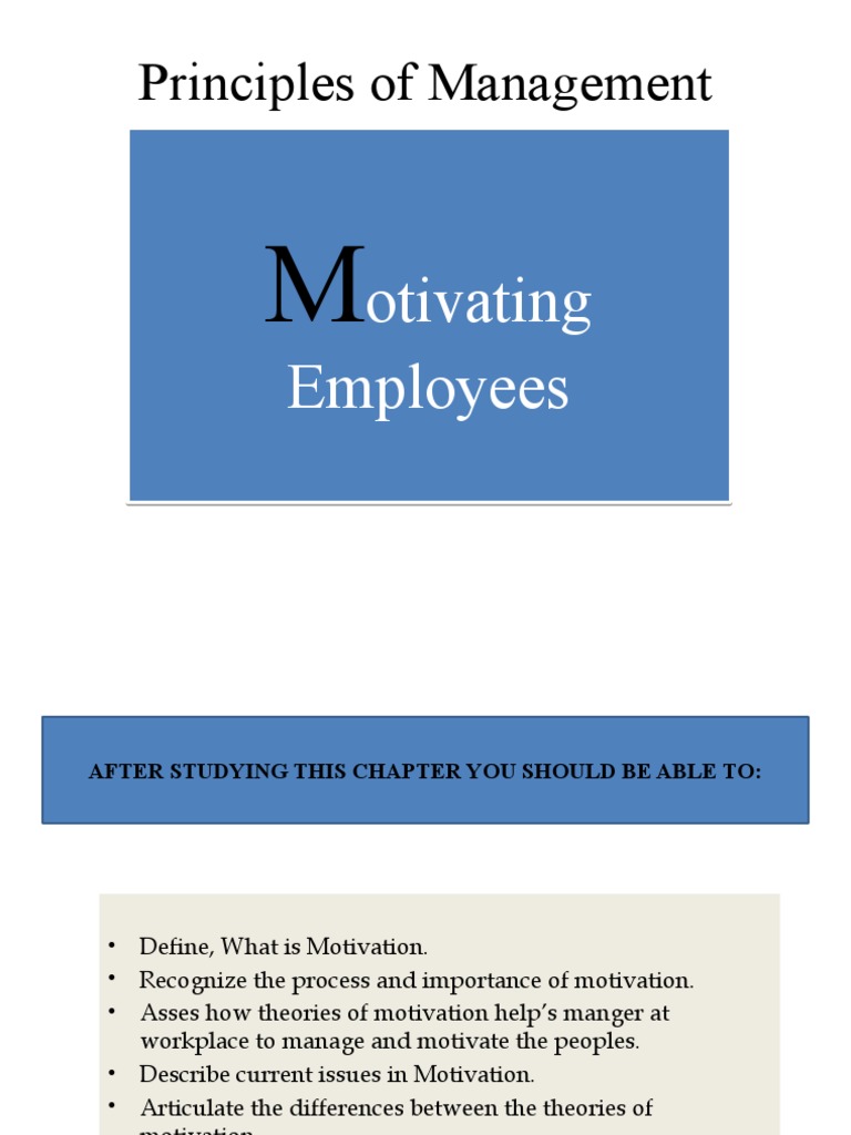 Motivating Employees Principles | PDF | Motivation | Motivational