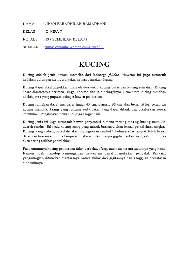 Contoh Laporan Observasi | PDF