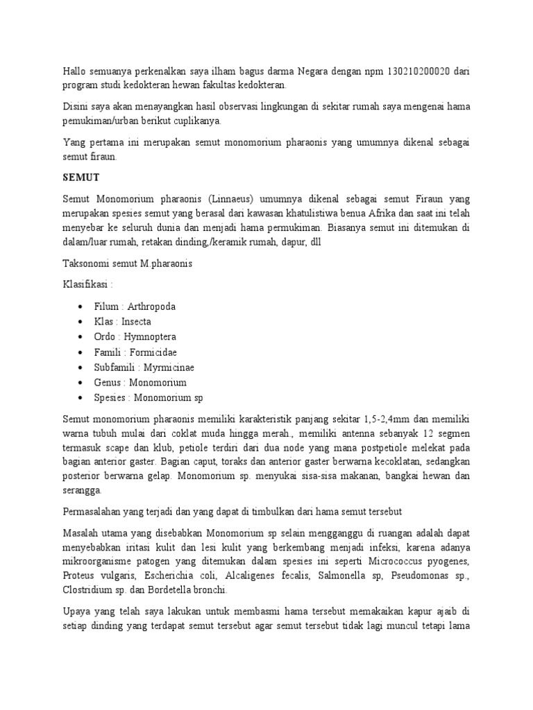 Observasi Semut Firaun sebagai Hama Rumah | PDF | Griya & Taman ...