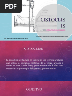 CISTOCLISIS | PDF | Vejiga urinaria | Orina