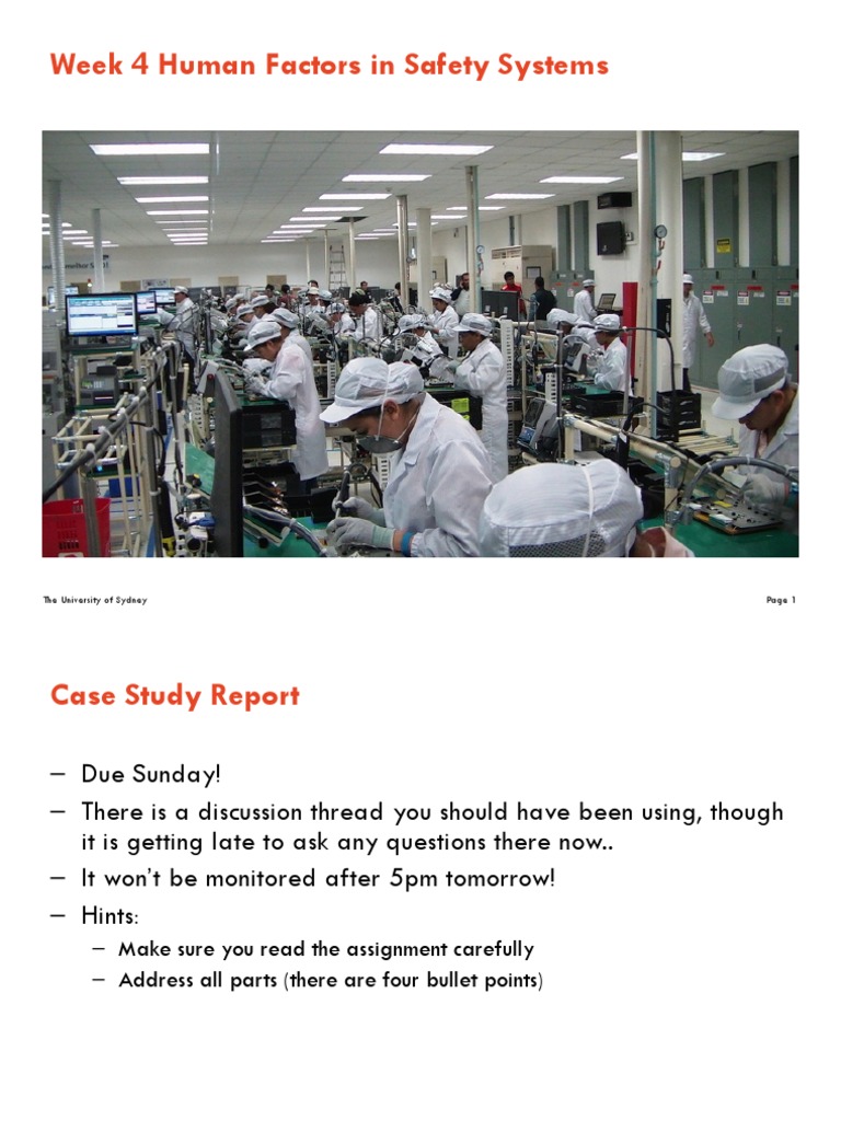 Human Factors in Safety Systems | PDF | Human Factors And Ergonomics | Risk