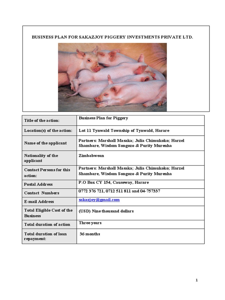 Sakazjoy Piggery Business Plan Overview | PDF | Market (Economics) | Sales