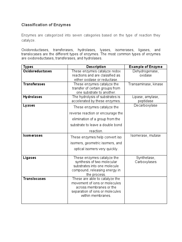 Classification of Enzymes | PDF | Enzyme | Digestion