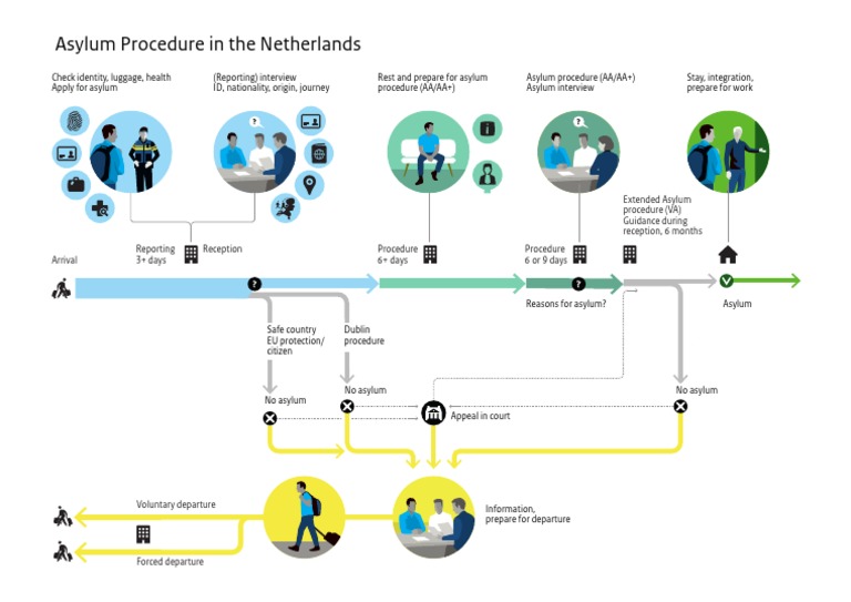 Infographic Asylum Procedure Netherlands | PDF