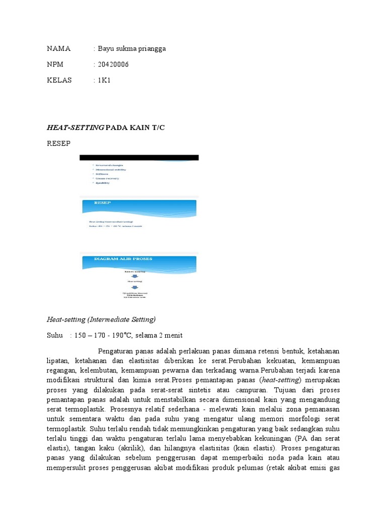 Bayu Sukma Priangga Heatsetting | PDF | Teknologi & Rekayasa