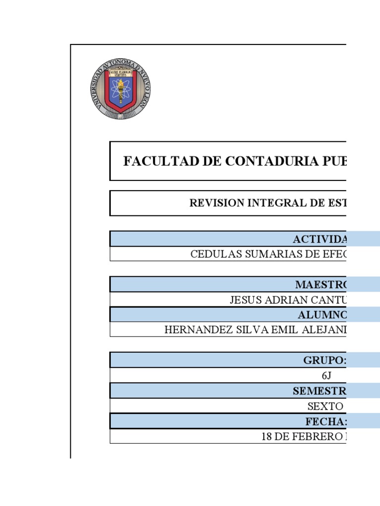 Cedula Sumaria de Otros Activos No Circulantes | PDF | Auditoría ...