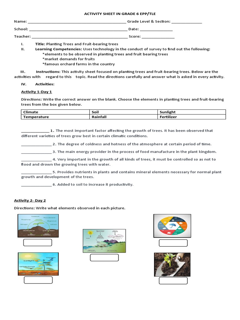 Activity Sheet in Grade 6 Epp-Algen | PDF | Trees | Soil