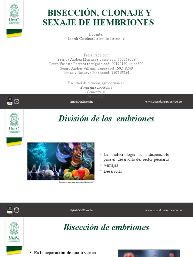Bisección, Clonaje y Sexaje de Hembriones Expo 2 | PDF | Clonación | Sexo