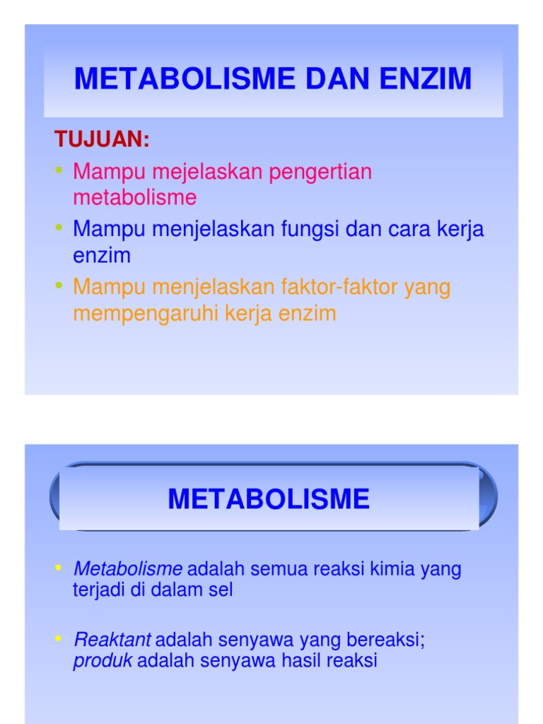 Metabolisme Dan Enzim | PDF
