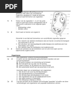Tekenregels Biologie Microscoop Preparaat | PDF