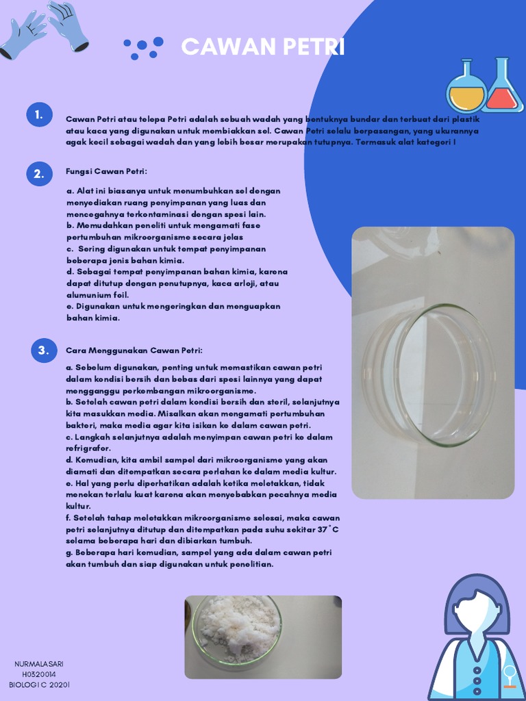 Cawan Petri | PDF