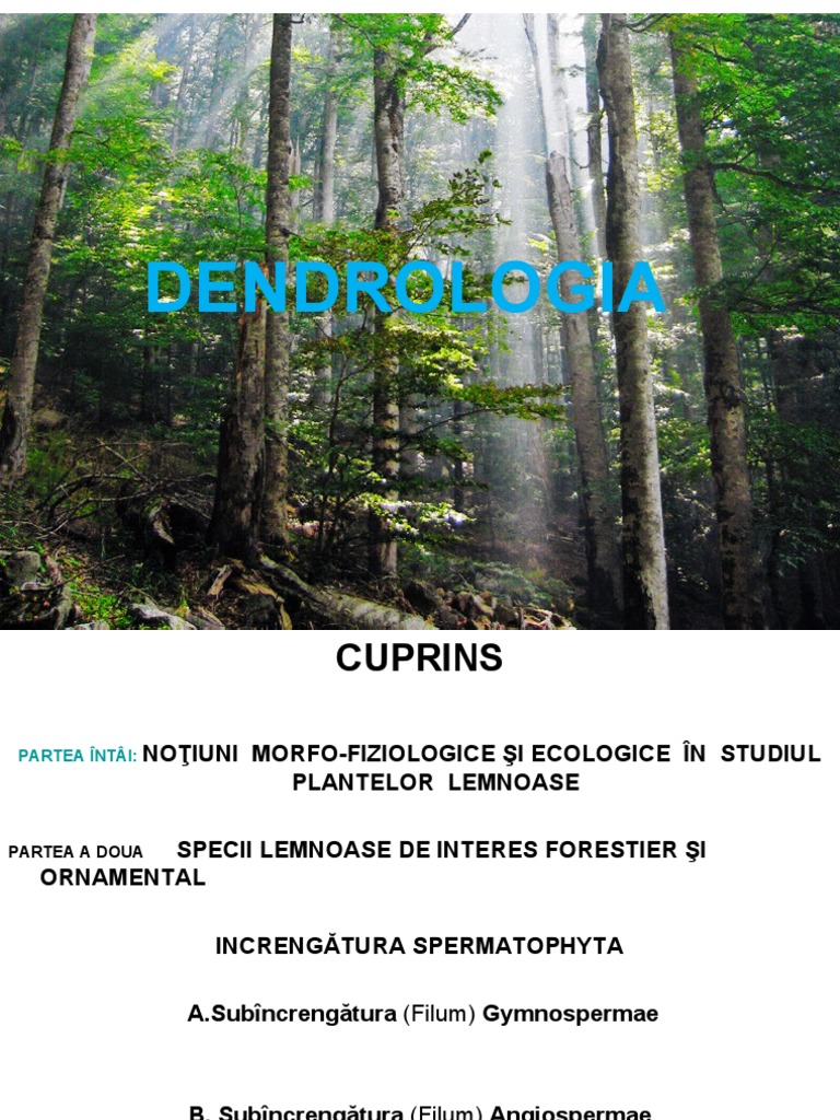 Curs 1 | PDF