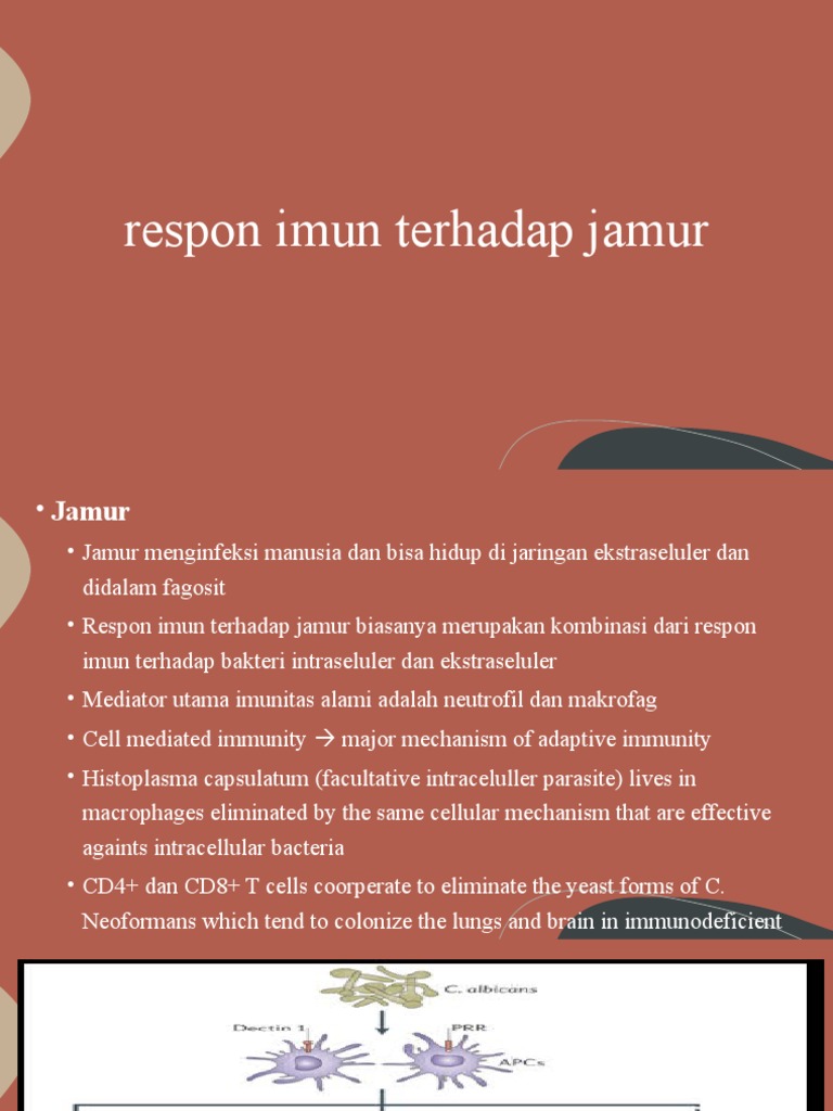 Respon Imun Terhadap Infeksi Jamur | PDF