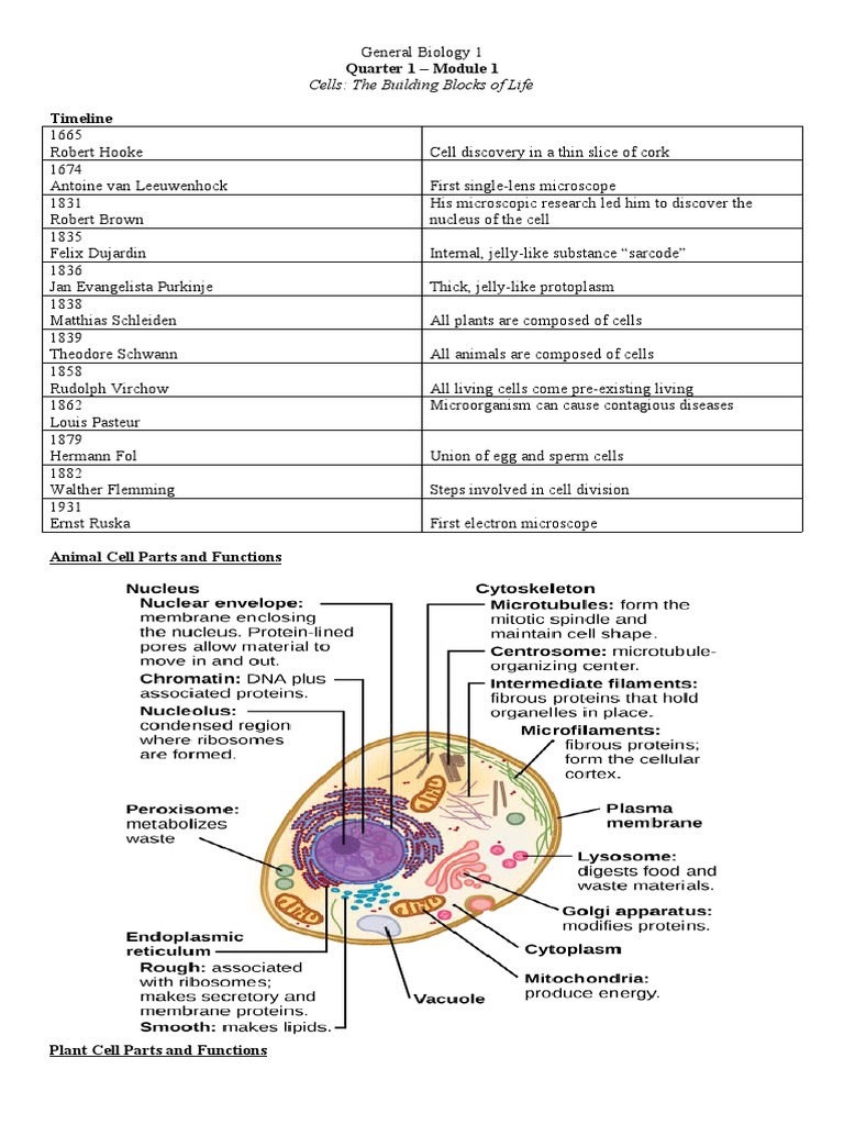 General Biology 1 | PDF | Epithelium | Cell (Biology)