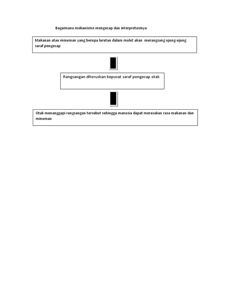 Proses Pengecapan dan Interpretasi Rasa | PDF