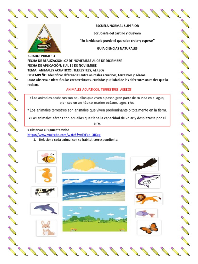 Ficha De Animales Terrestres Y Acuáticos