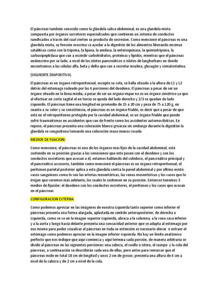 Anatomía y Funciones del Páncreas | PDF | Páncreas | Digestión
