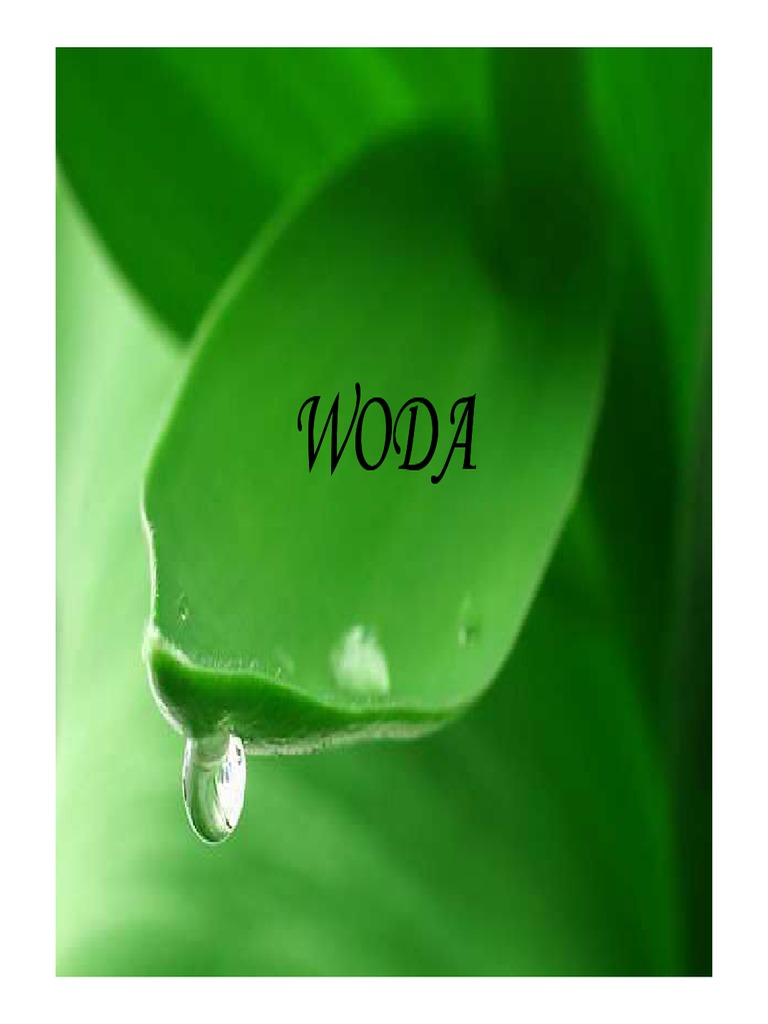 Prezentacja o Wodzie | PDF