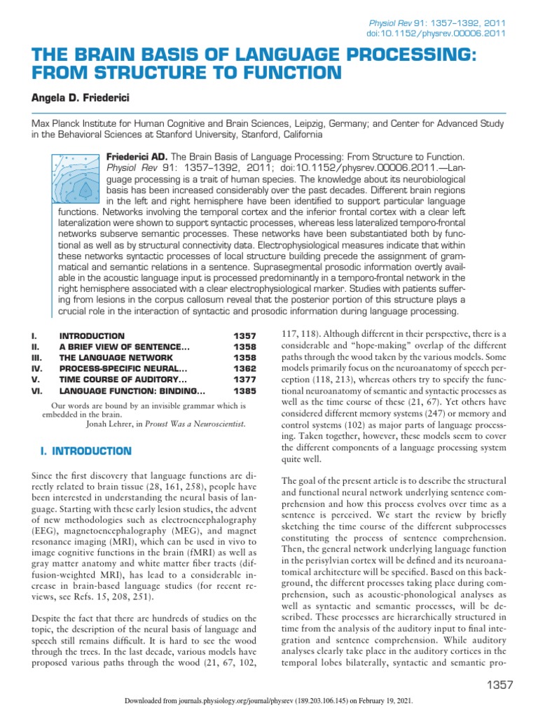 The Brain Basis of Language | PDF | Cerebral Cortex | Lateralization Of ...
