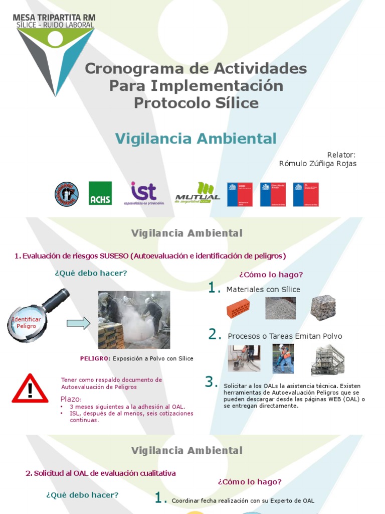 Cronograma Actividades Implementar Protocolo Vigilancia Slice | PDF
