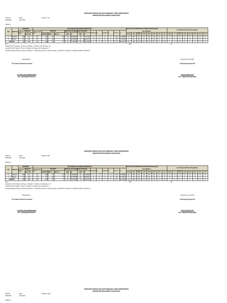 Statistik KB Aktif Bulungan 2021 | PDF