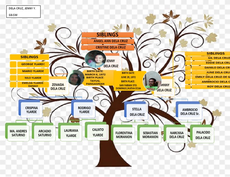 Ap Family Tree | PDF