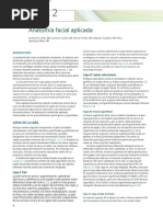 Region Superciliar ANATOMIA 2 FOLP | PDF | Anatomía humana | Cabeza y ...