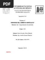 Norma Astm C-188 | PDF | Densidad | Cemento