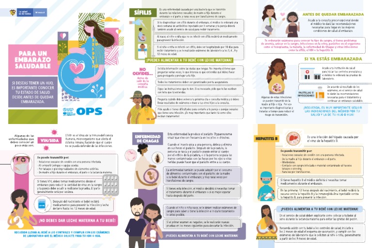 Plegable2 Etmi Plus | PDF