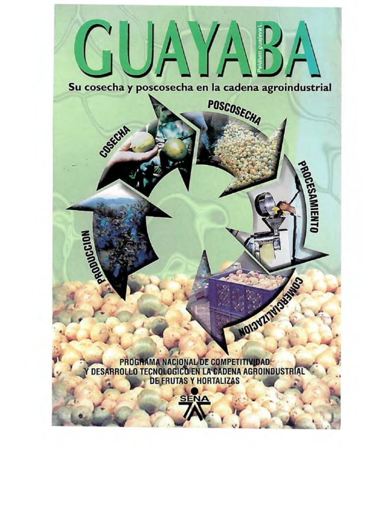 Cosecha Guayaba | PDF | Agronegocios | Temperatura