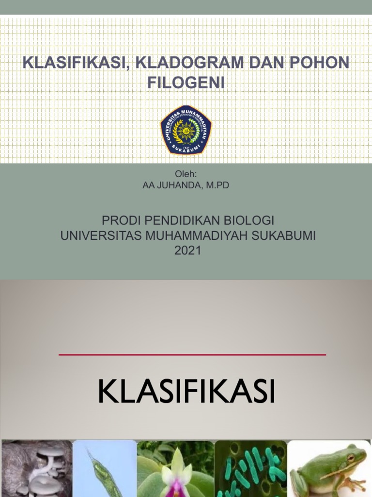 AaJuhanda - Klasifikasi, Kladogram Dan Pohon Filogeni | PDF | Ilmu ...