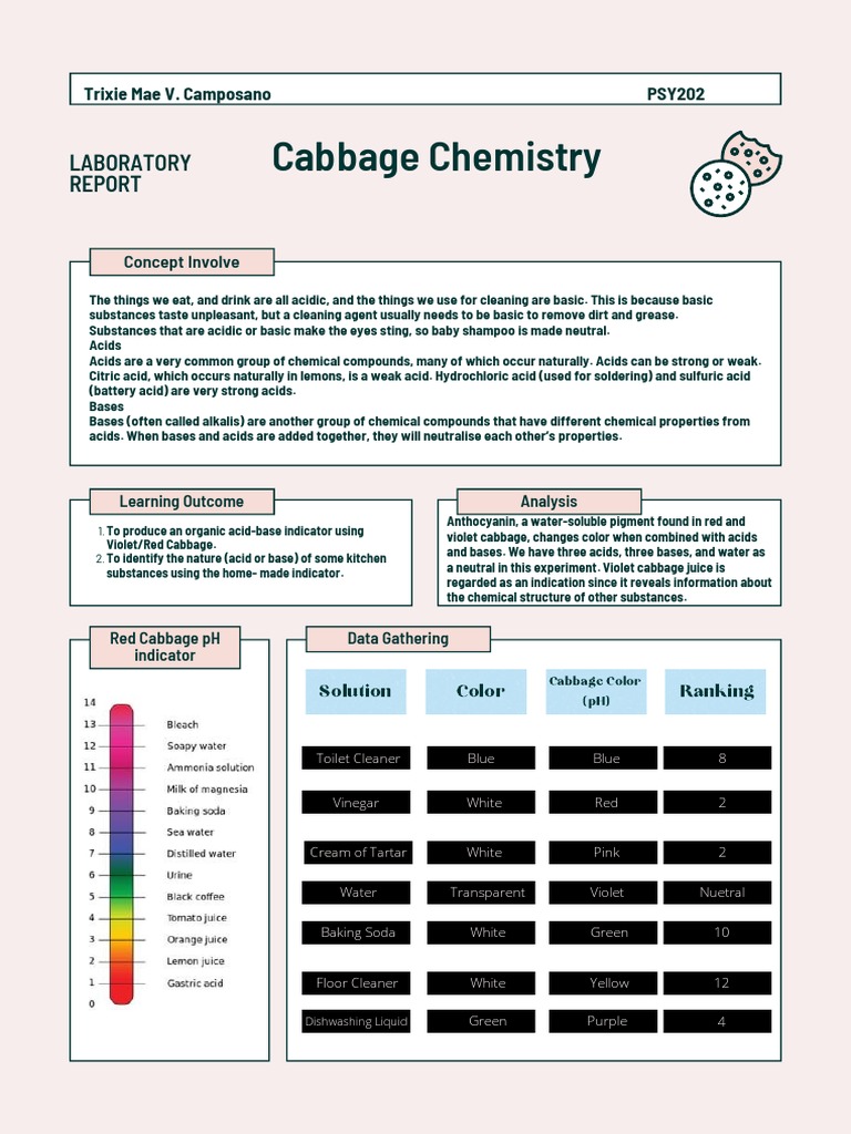 Cabbage Chemistry | PDF | Ph | Acid