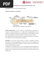 Teoría de La Matriz Funcional de Melvin Moss | PDF | Cráneo | Epigenética