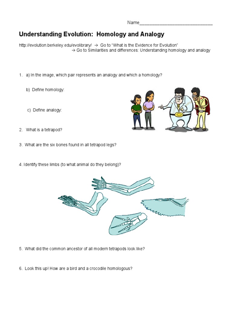 Homology Vs Analogy - Berkeley Tutorial | PDF