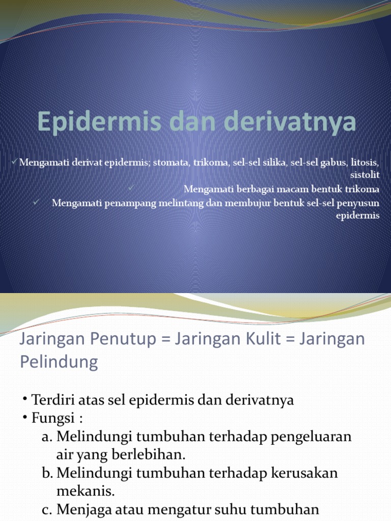 Epidermis Dan Derivatnya | PDF