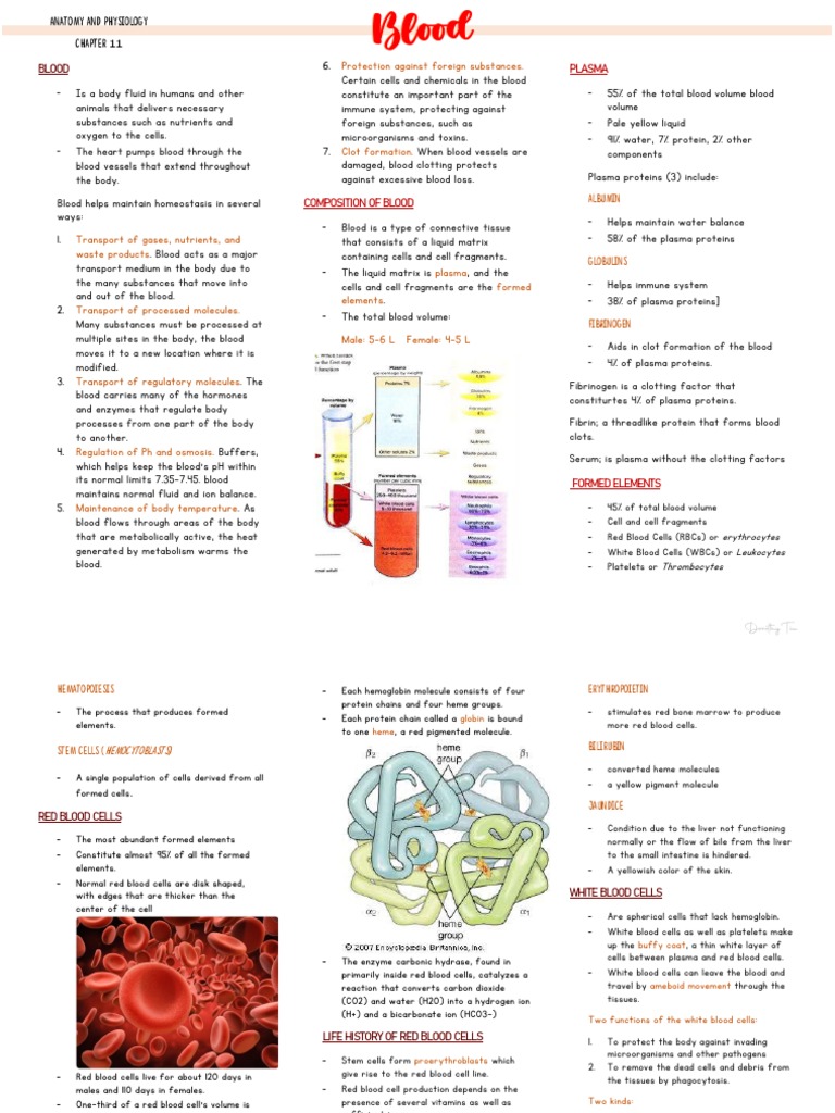 BLOOD - REVIEWER | PDF | Platelet | Coagulation
