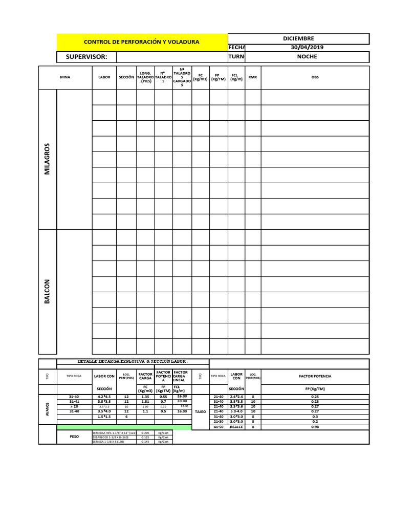 Formato Reporte Diario Operación | PDF