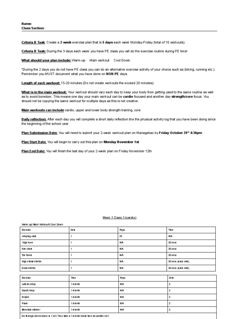 Andy - (2-Week Exercise) Workout Plan Template | PDF | Physical Fitness ...