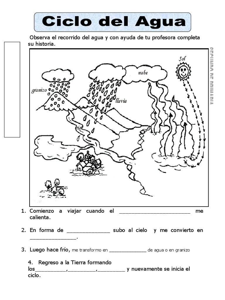 Ficha de Ciclo Del Agua P | PDF