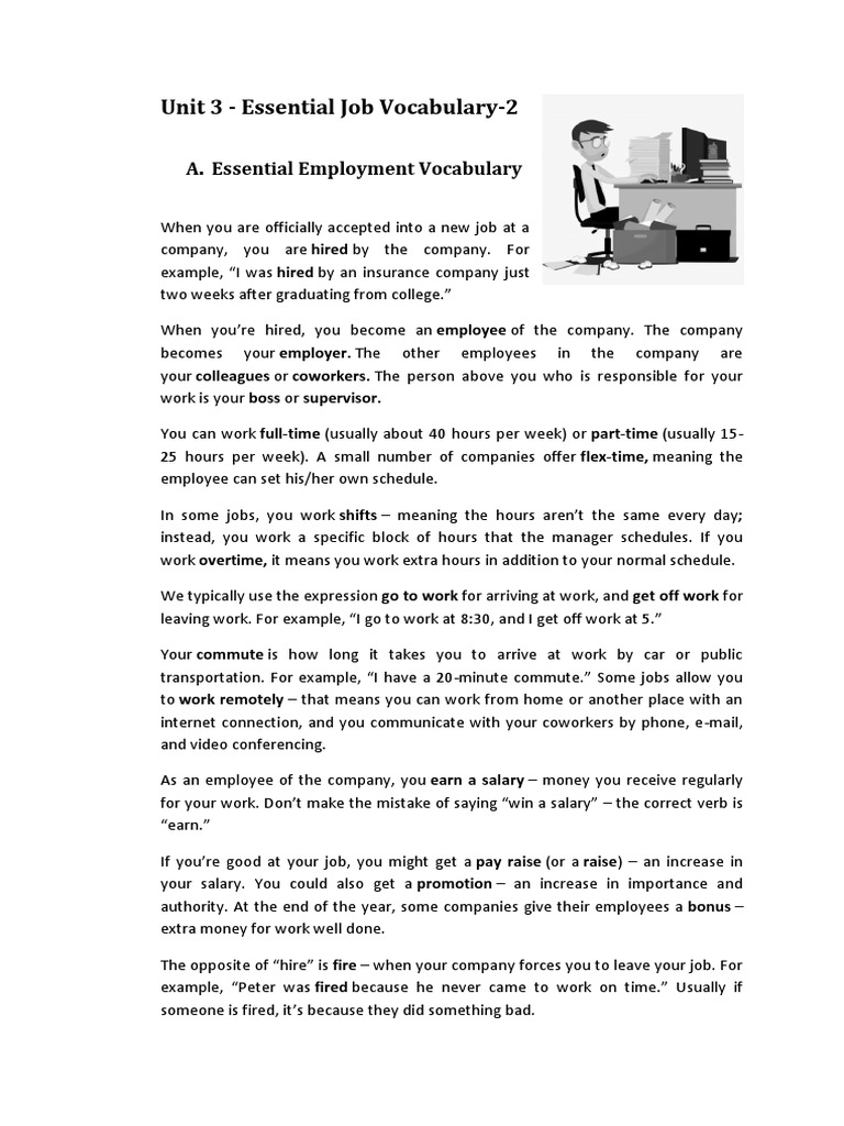 Essential Job Vocabulary Guide | PDF | Employment | Board Of Directors
