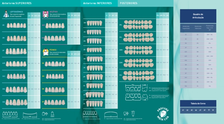 Catálogo de Dientes Biotone | PDF