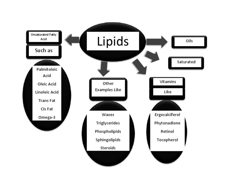 Concept Map Lipids | PDF