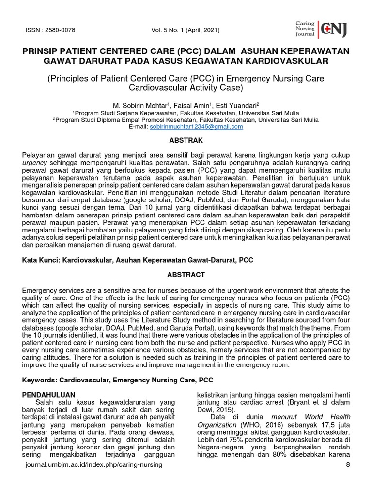 (Principles of Patient Centered Care (PCC) in Emergency Nursing Care ...