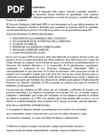 Instructivo Proyecto Pedagogico Individual para La Inclusion Ppi | PDF | Inclusión (Educación ...