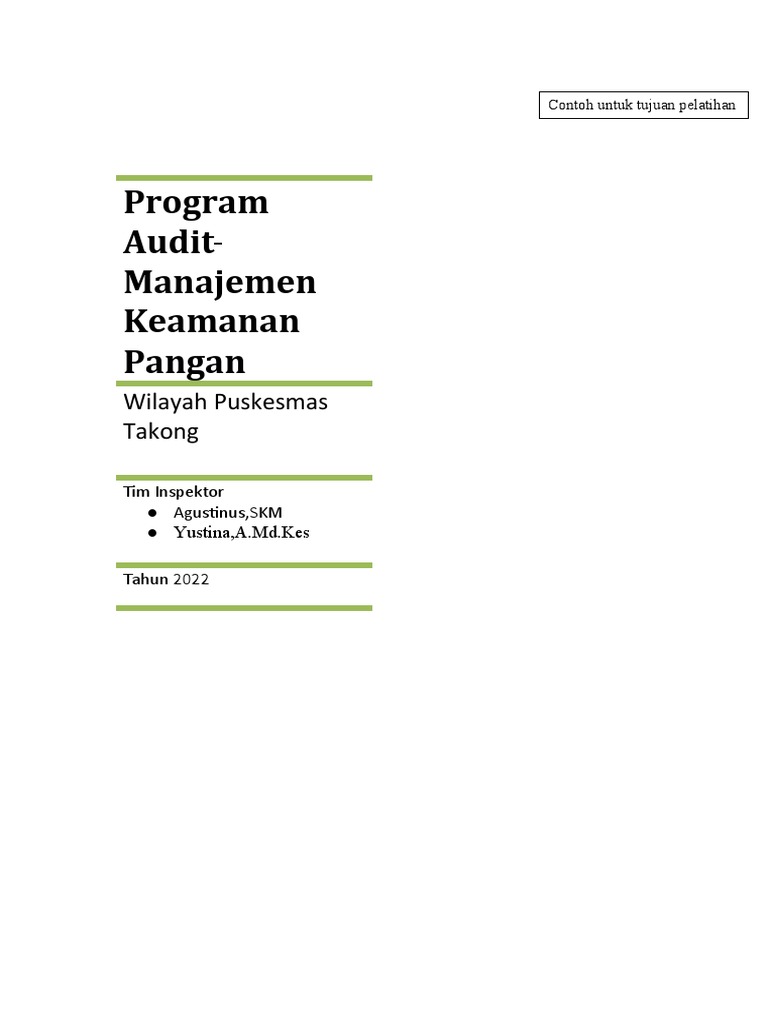 Form 2. Mengelola Program Audit | PDF