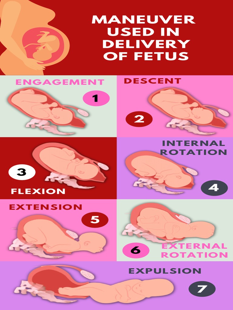 Fetal Delivery Maneuvers Explained | PDF