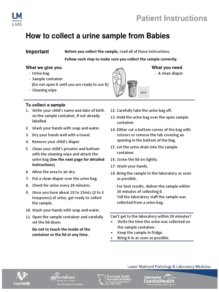 How To Collect A Urine Sample From Babies: Important | PDF