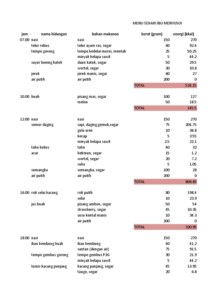 Menu Sehari untuk Ibu Menyusui | PDF