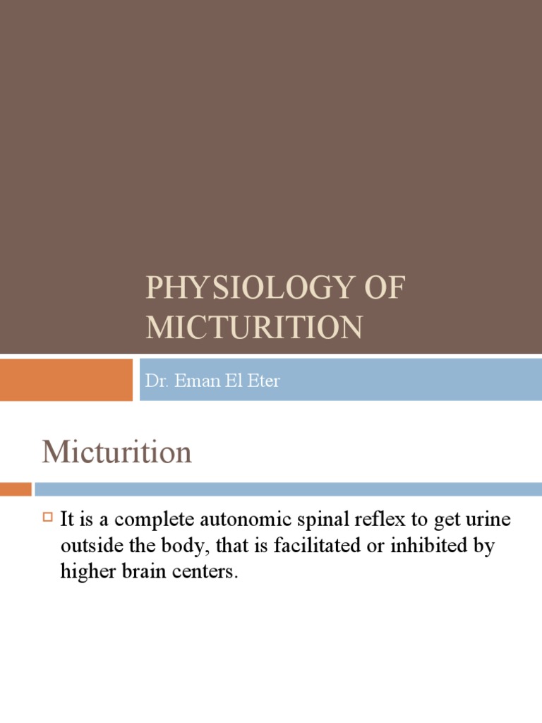 L4-Physiology of Micturition | PDF | Urination | Urinary Bladder