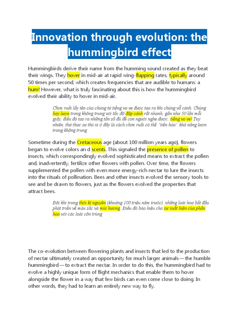 The Hummingbird Effect | PDF | Flowers | Evolution